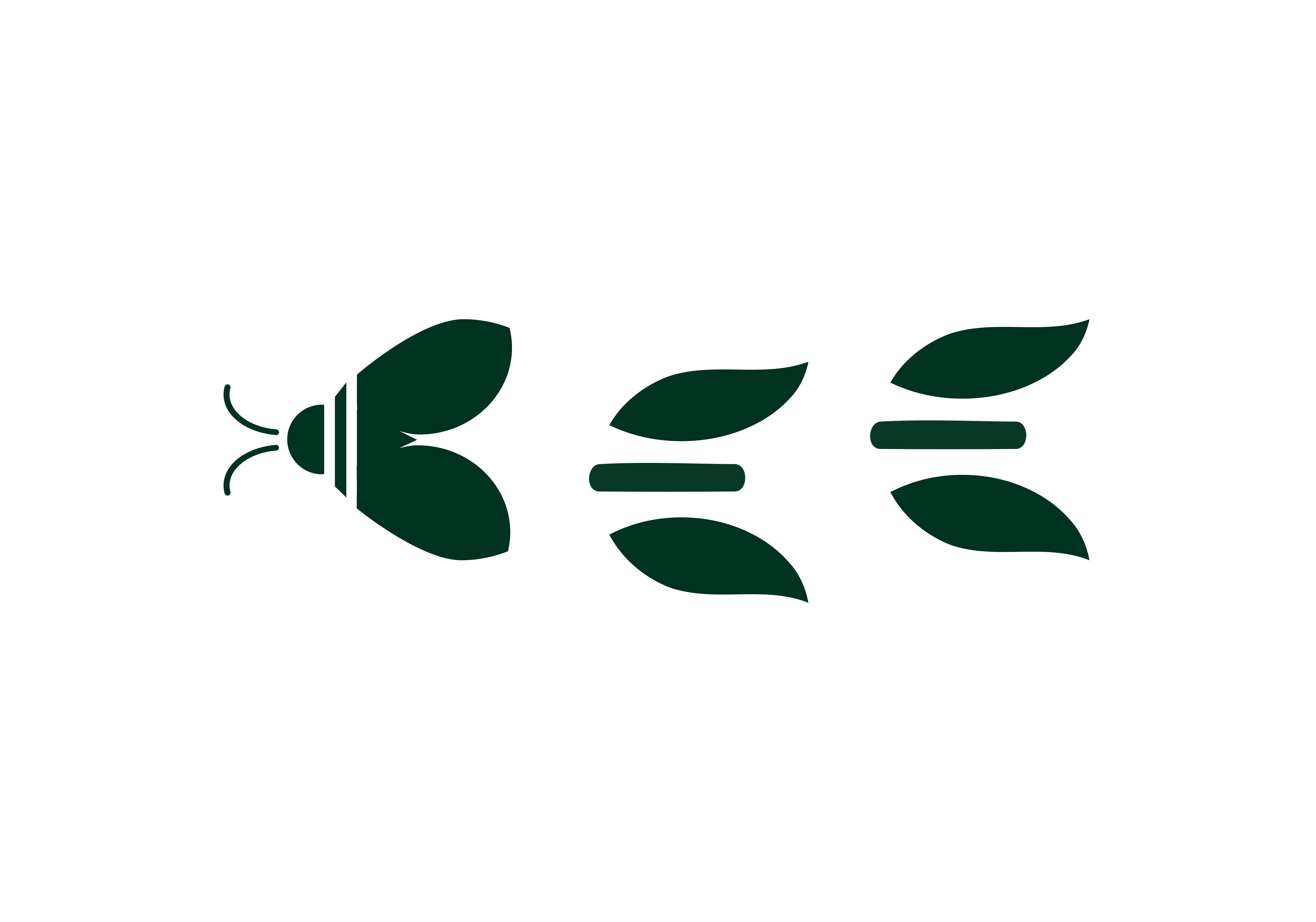 Home - BEE | Being Environmental Enthusiasts